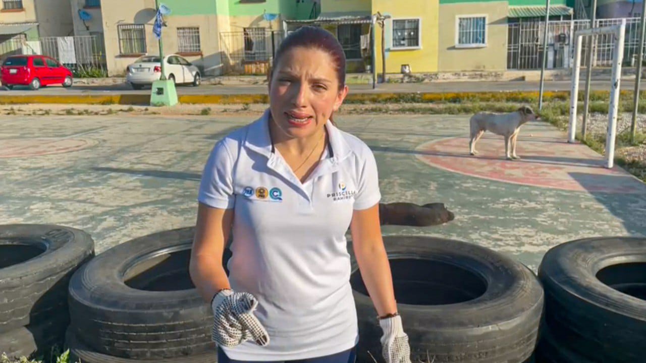 Dar prioridad al bienestar social desde el Congreso ofrece Priscila ...